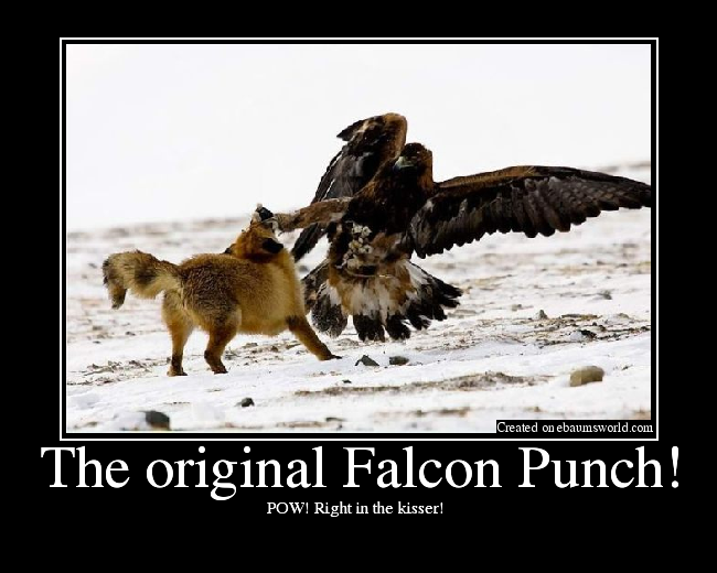 Little Bit of Everything: Falcon Punch!!!! Super Smash Brother Memories.