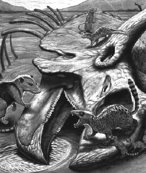 List Nation: The Five Major Extinctions of Earth