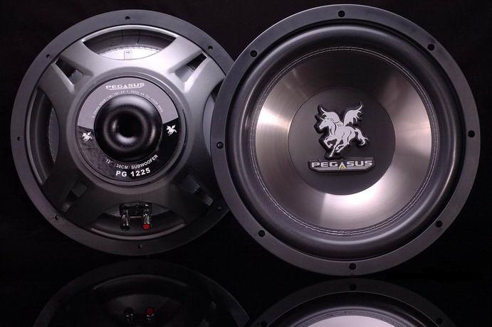 Zack Audio: Woofer pegasus pg1225 12inci
