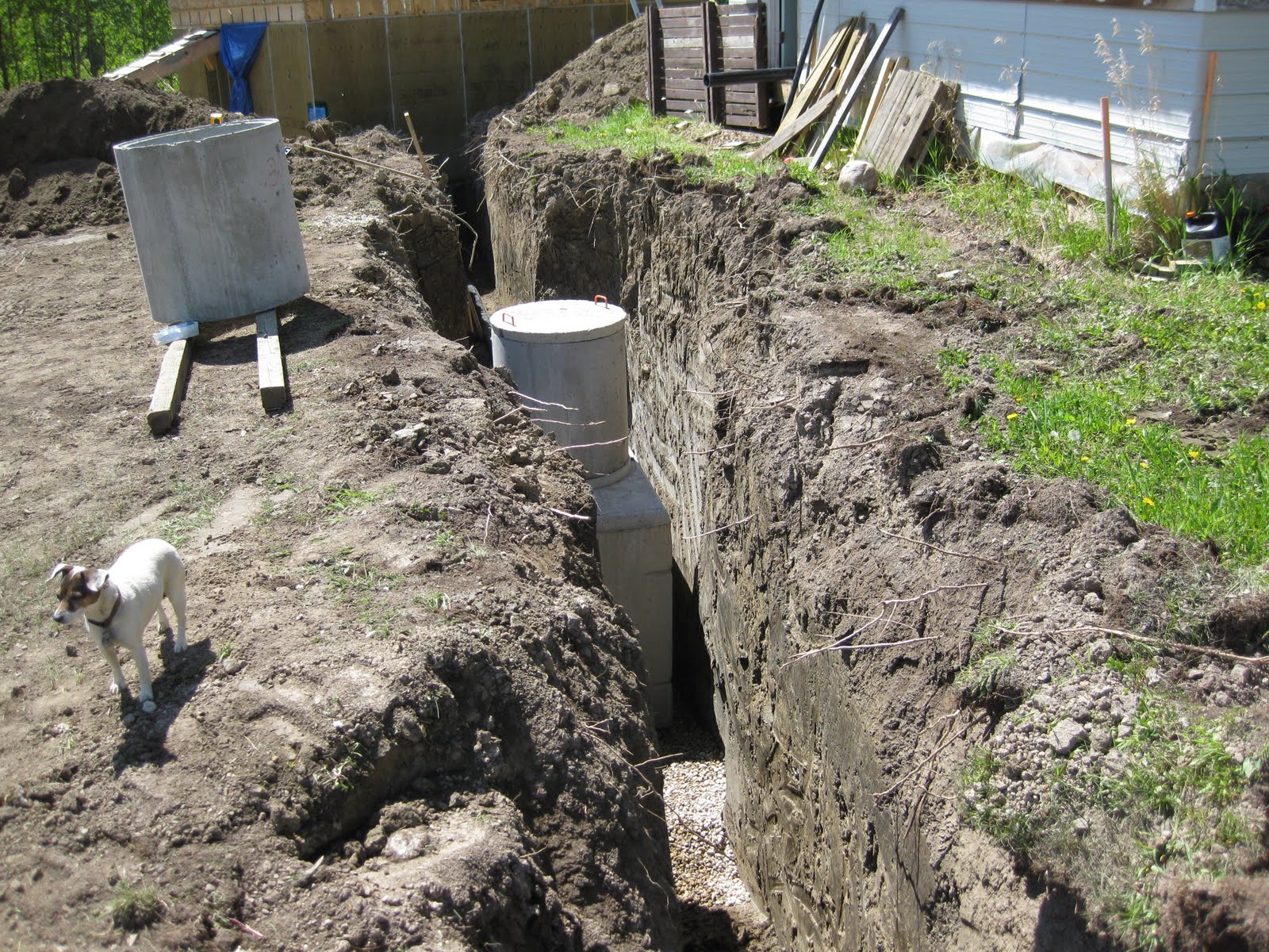 Simple man, simple plan.: The Septic Tank is in the Ground.