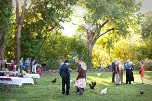 Farmette News | Farmette Blog