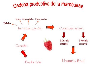 Adjilogistico: CADENA PRODUCTIVA