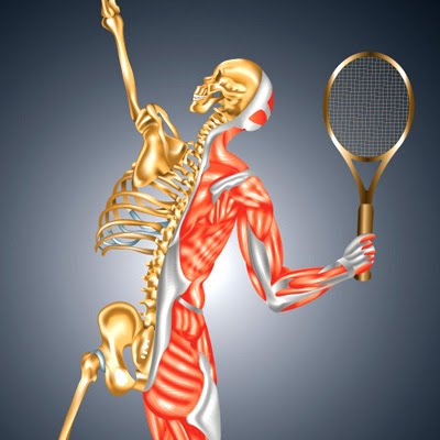 Locomocion: ¿Que es locomocion?