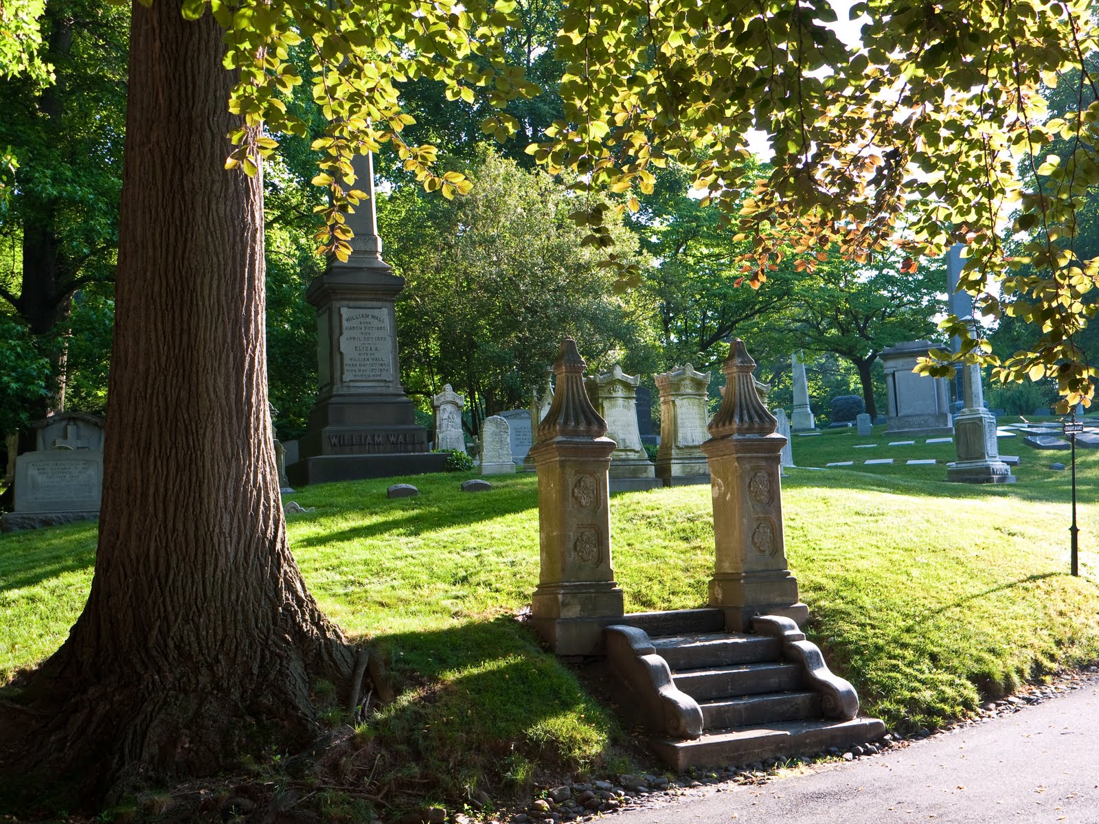 Green-Wood Cemetery Trees: stairs
