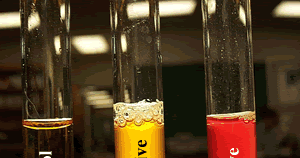 Biochemical Tests: The Methyl Red Test & Voges-Proskauer Test