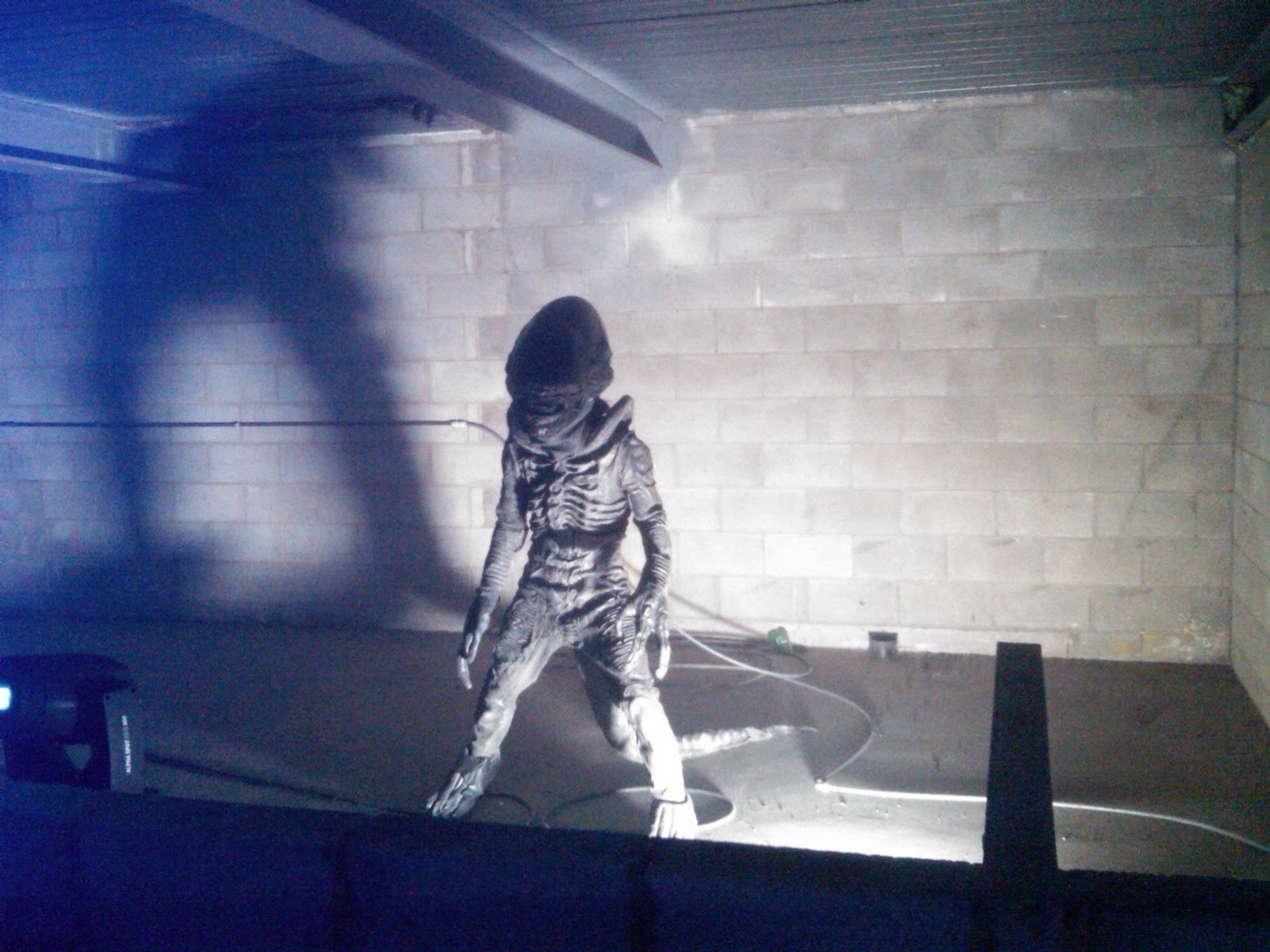 The Cult Of Outdoor Cinema: Aliens In Manchester | Film Intel