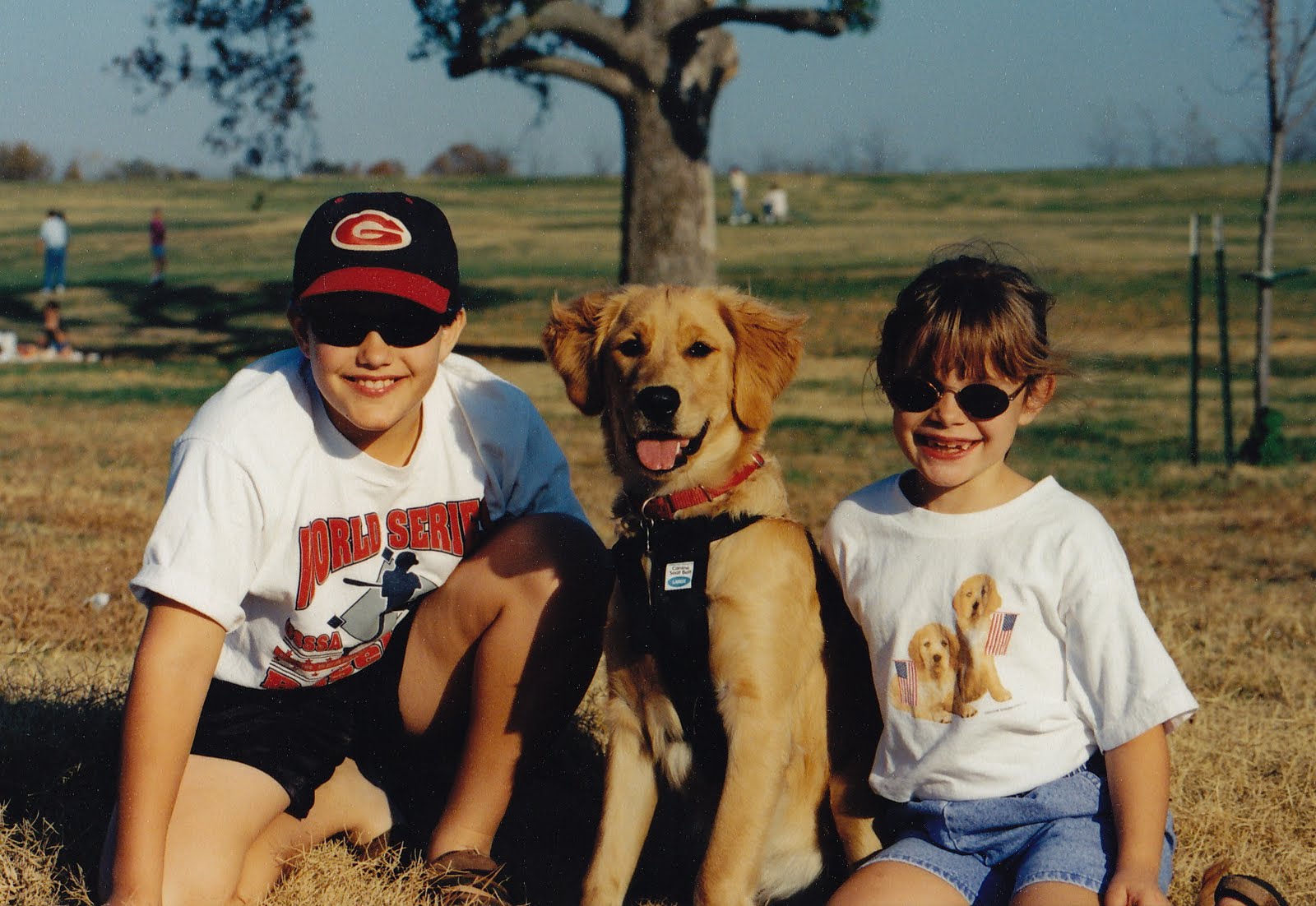 Sweetie Petitti: Ode to a Dog