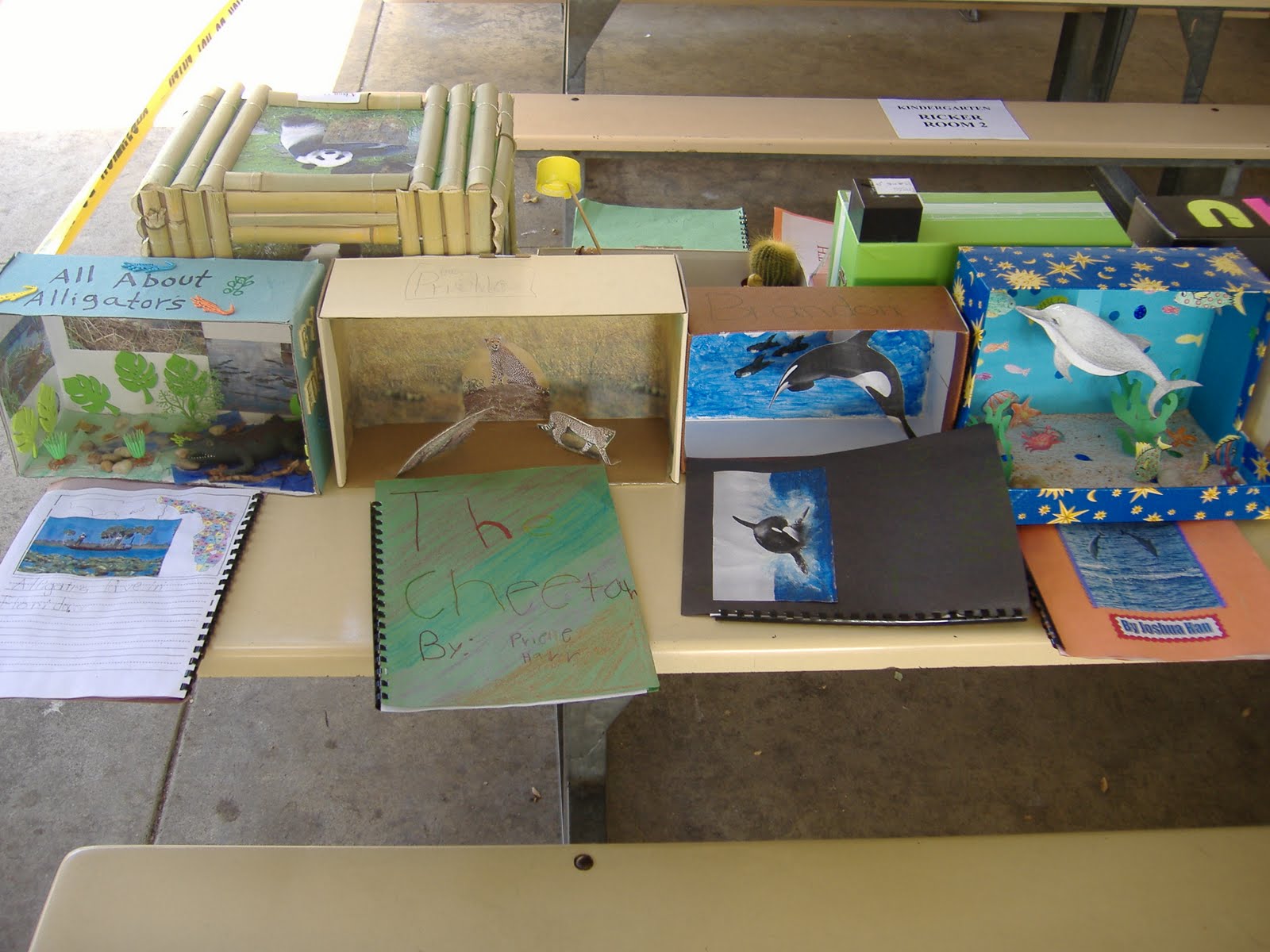 Animal Report and Diorama Projects
