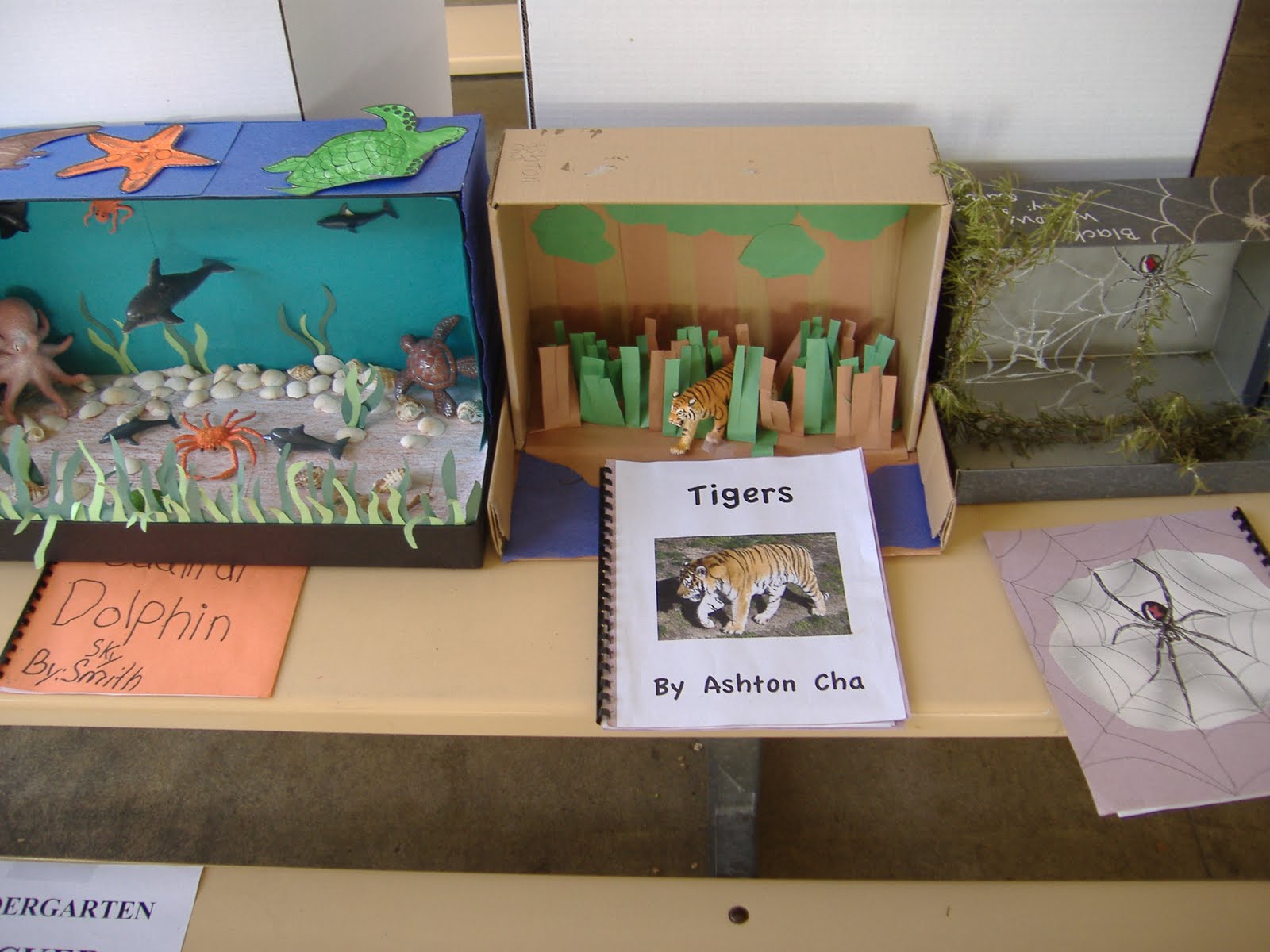 Animal Report and Diorama Projects