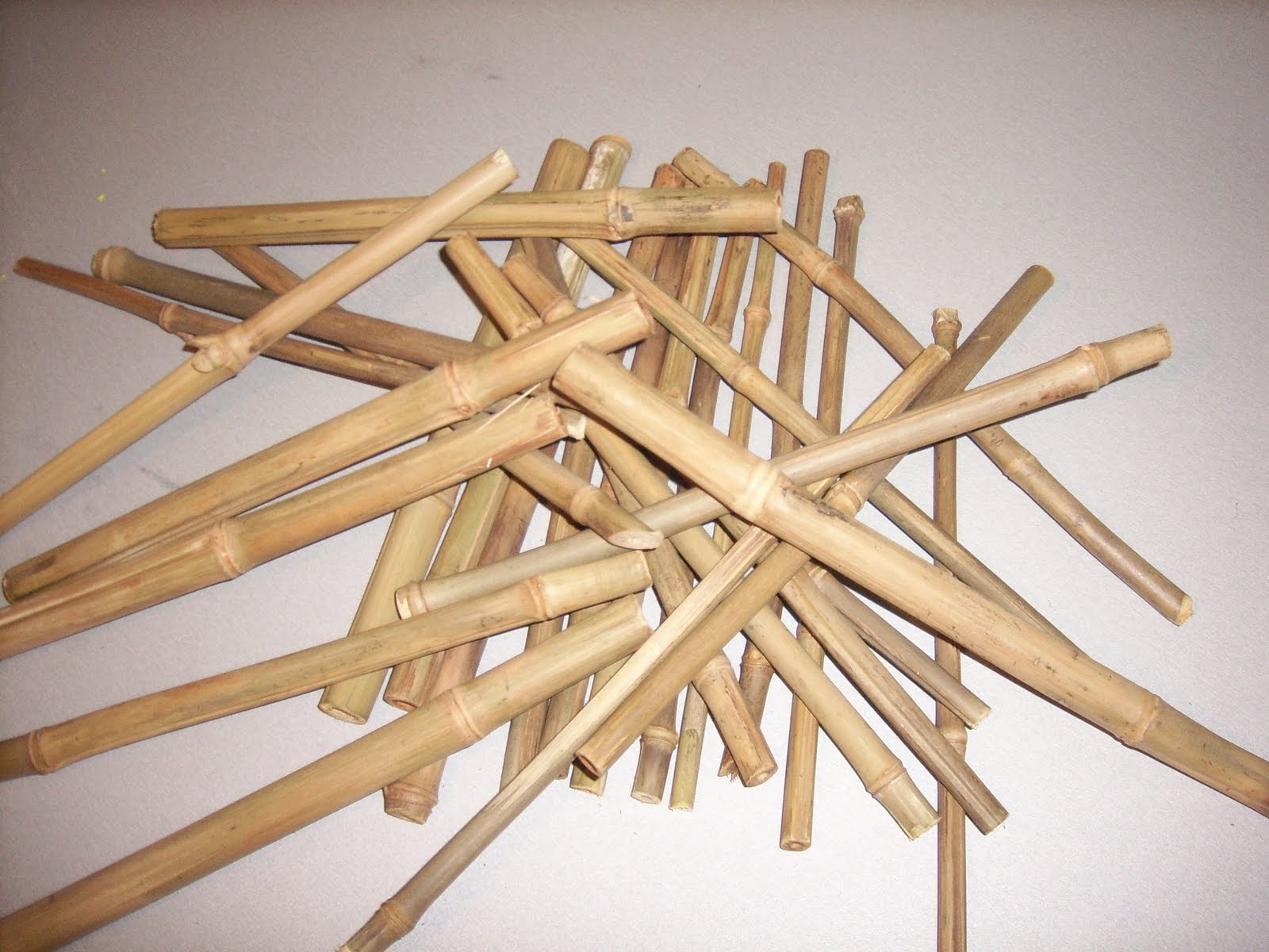 Juf Tatiana: Muziekinstrumenten.