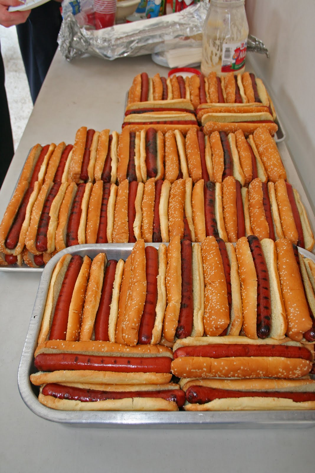 1000 Days in Veracruz