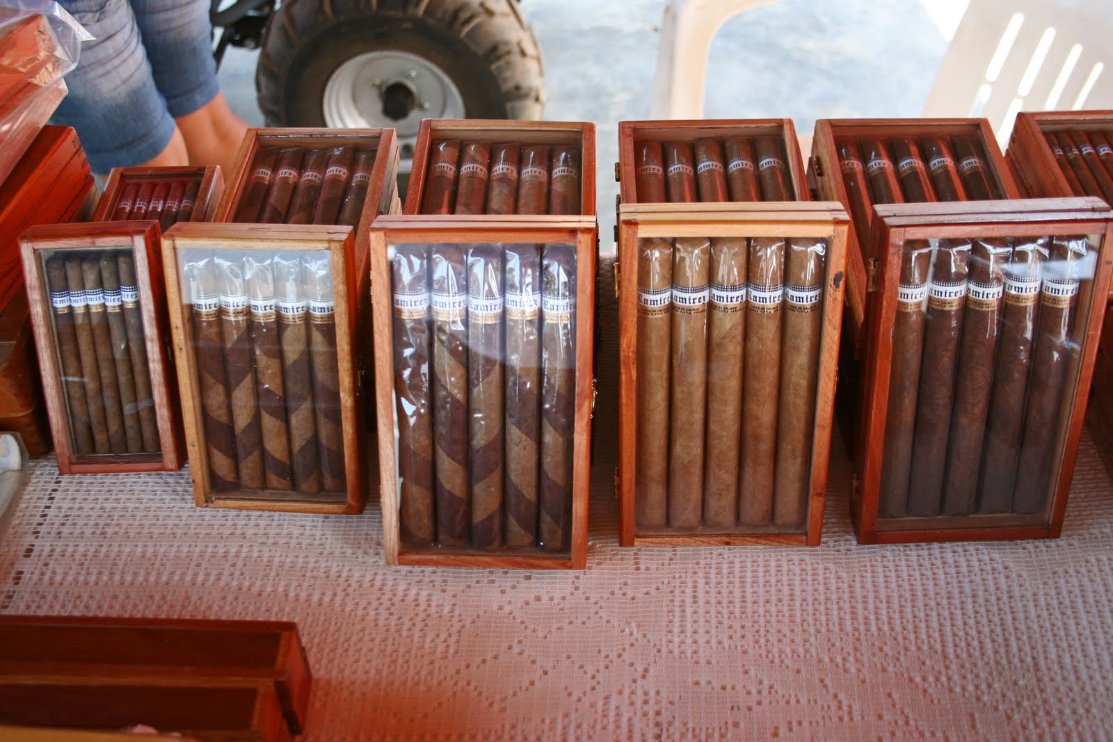 1000 Days in Veracruz