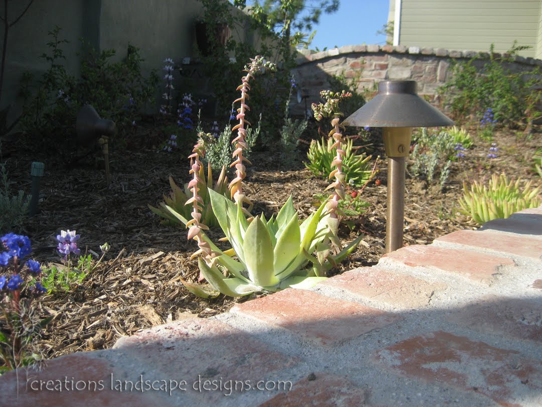 earth friendly landscapes: HAVING A SITE PLAN