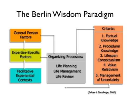 Practice of Wisdom Psychology: The Berlin Wisdom Paradigm