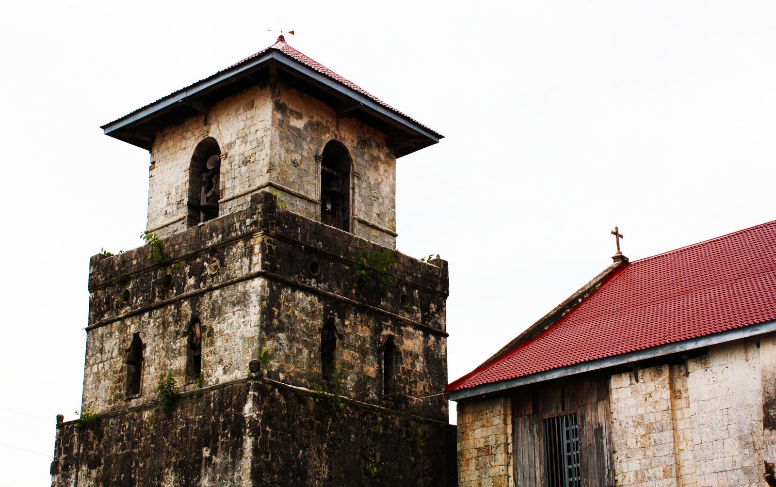 Adventurous Feet: Part7: Cebu-Bohol Trip (Day3) - Chocolate Hills ...