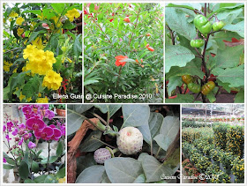 Cuisine Paradise | Singapore Food Blog | Recipes, Reviews And Travel ...