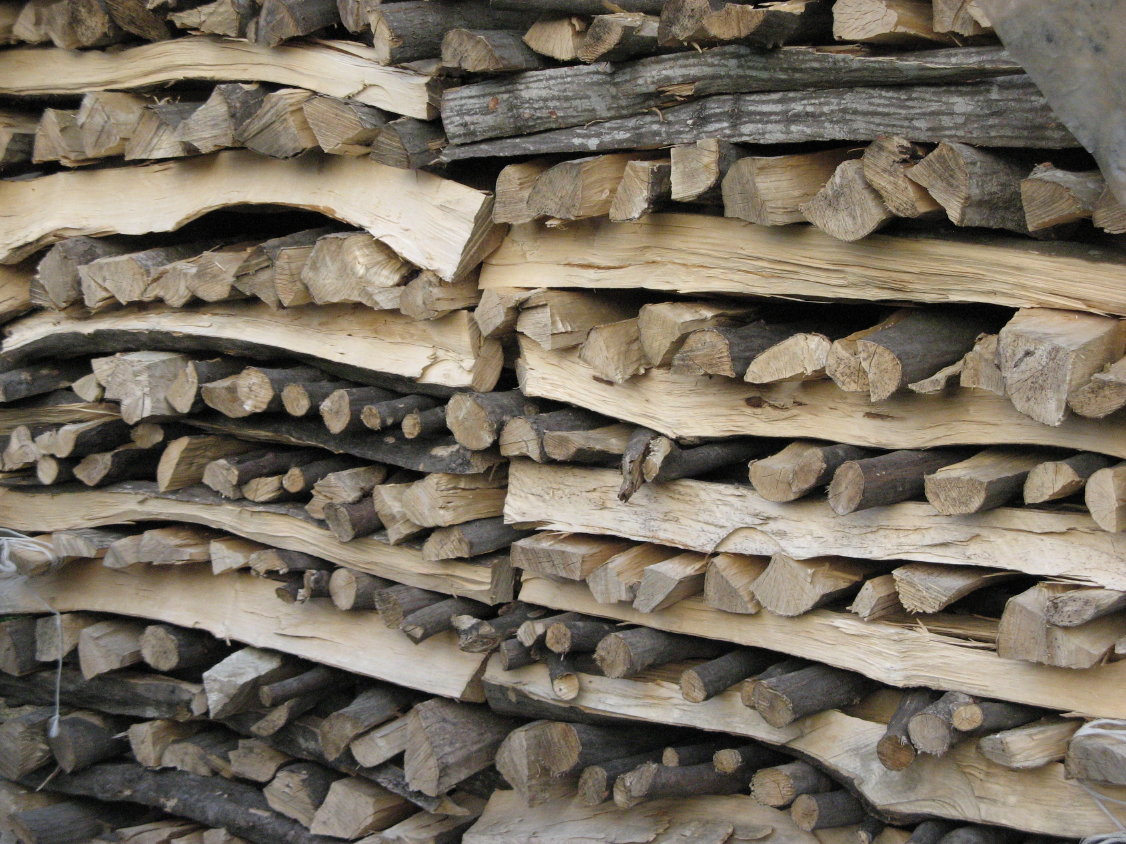 Boschi e legno a Budoia: Sono bóins da méte via le legne?