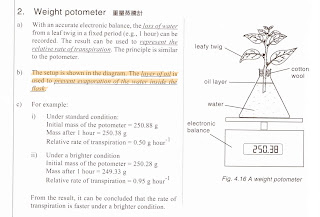筆記: CE Biology:potometer and weight potometer