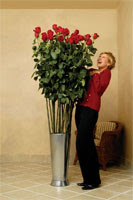 Florists in Los Angeles