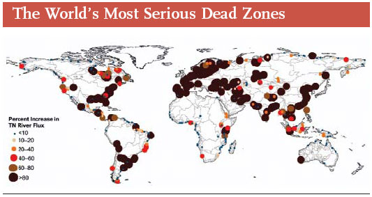 I Believe in Agriculture