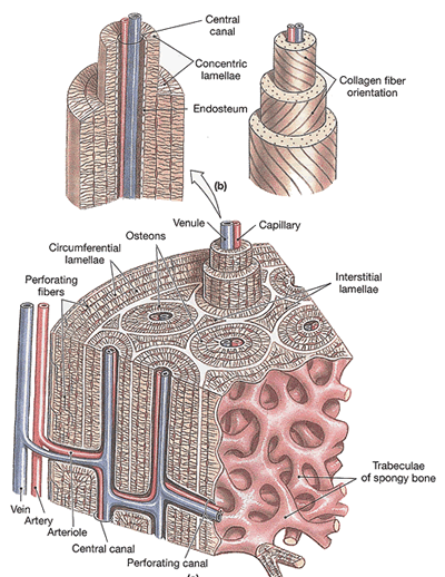 KY Derby or Bust: April 2010