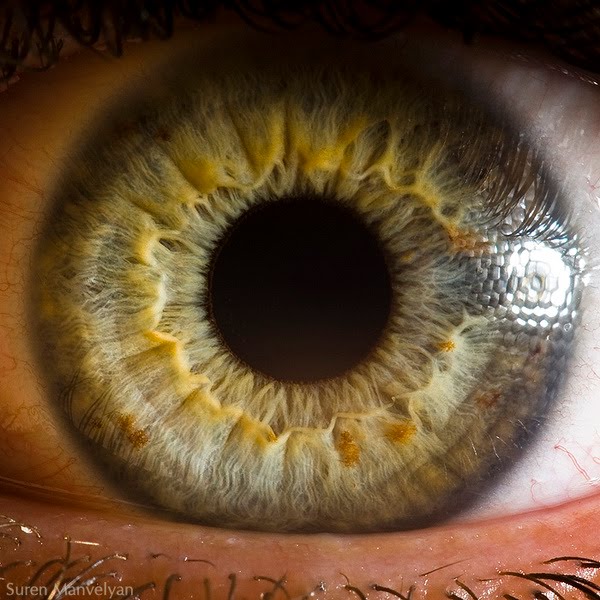 Randomnies: Eye Macro Photography