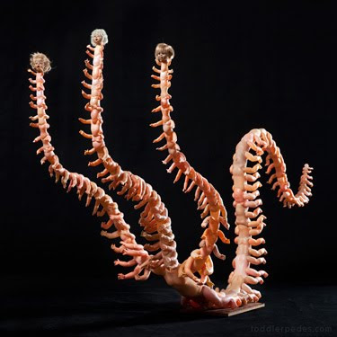 Valente @ the drawing board: Polymelia