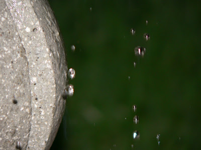 ROLANDO RUIZ - FOTOGRAFO: LOS MODOS AUTOMATICOS EN LA FOTOGRAFIA