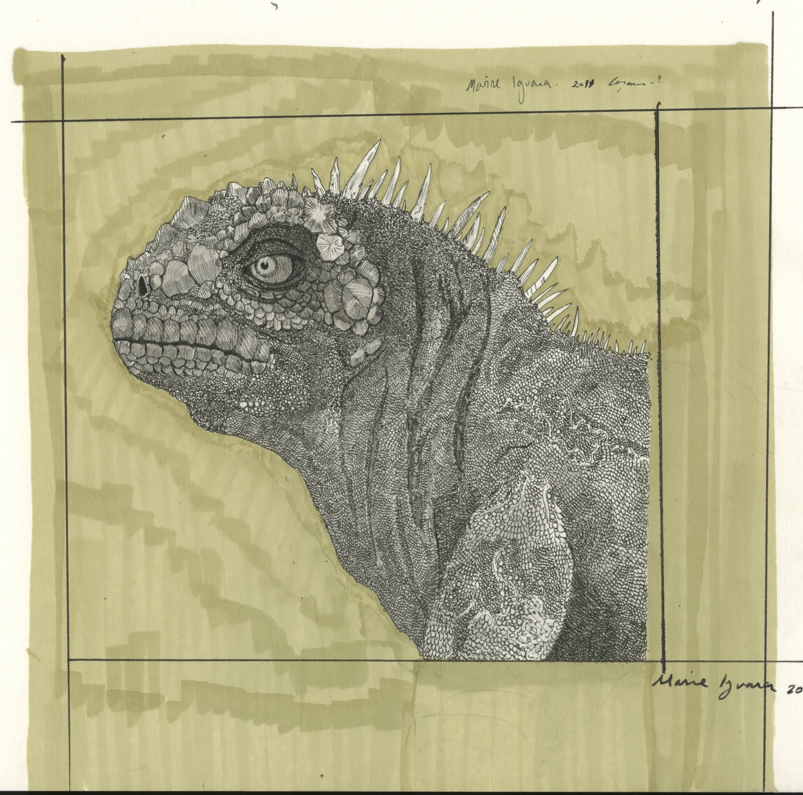 Ben Rothery Illustrator: A Drawing a day