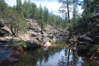 Arizona Hiking: GORDON CREEK FALLS