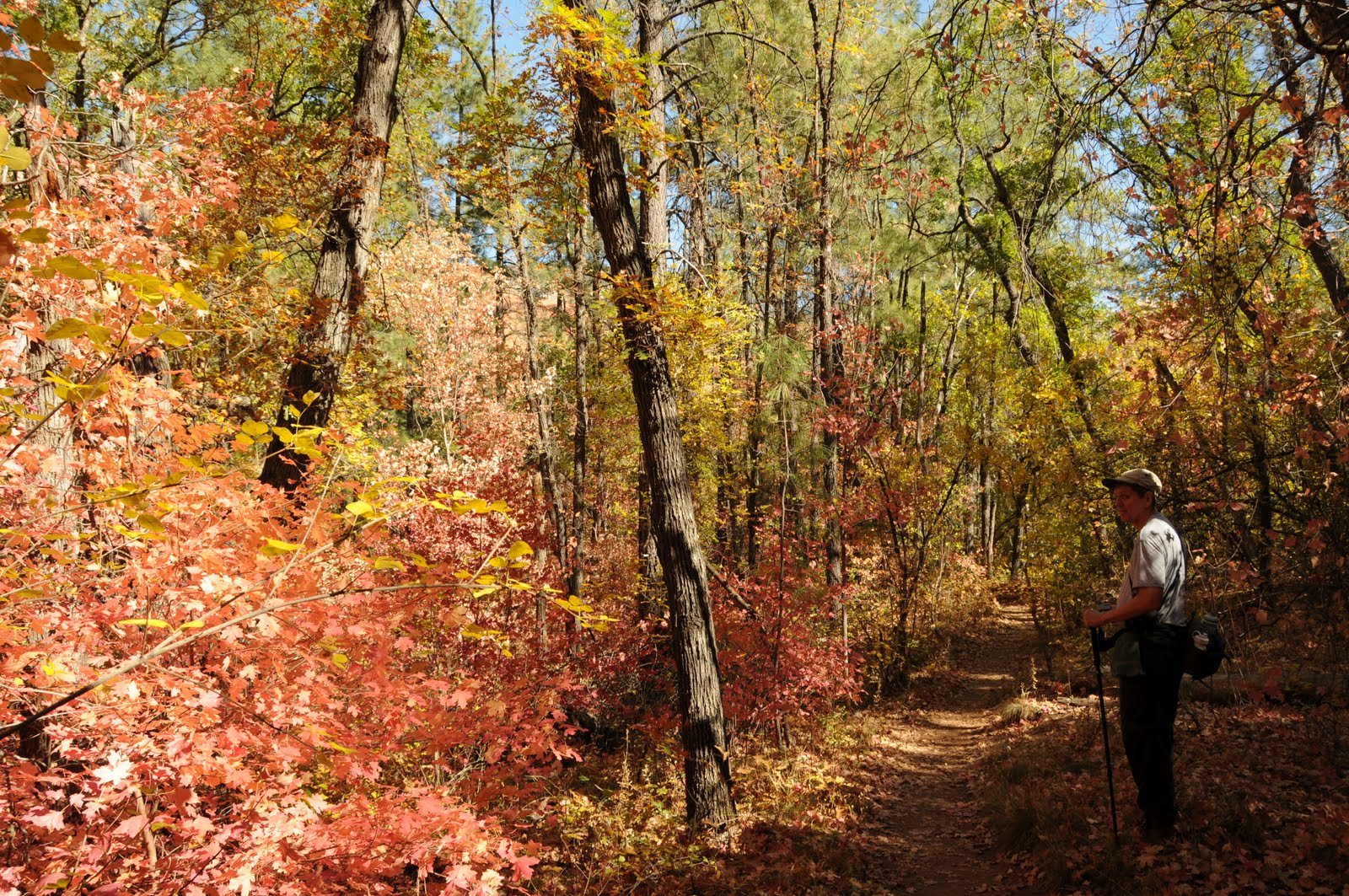 Arizona Hiking: FALL HIKING SEASON!