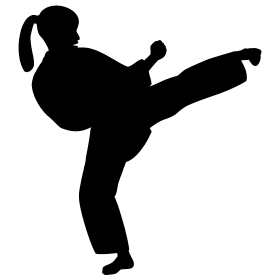 Fanfic coisas de Menina: Karate estilo Shotokan.