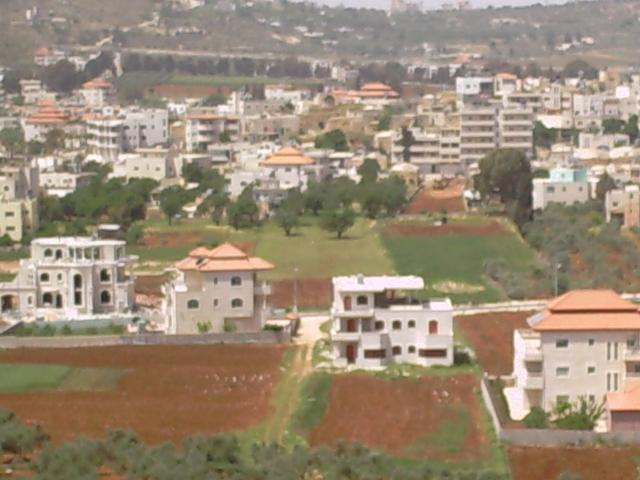 My walks: Turmus Aya Land