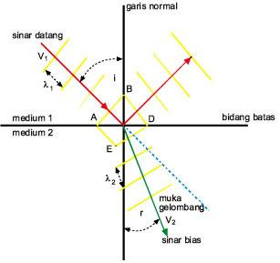 Expand Knowledge: Indeks bias
