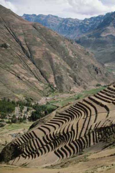Conociendo el Perú: LA AGRICULTURA INCAICA