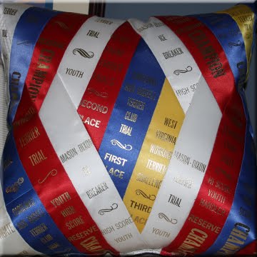 A Good Horse: Horse Show Ribbon Pillow