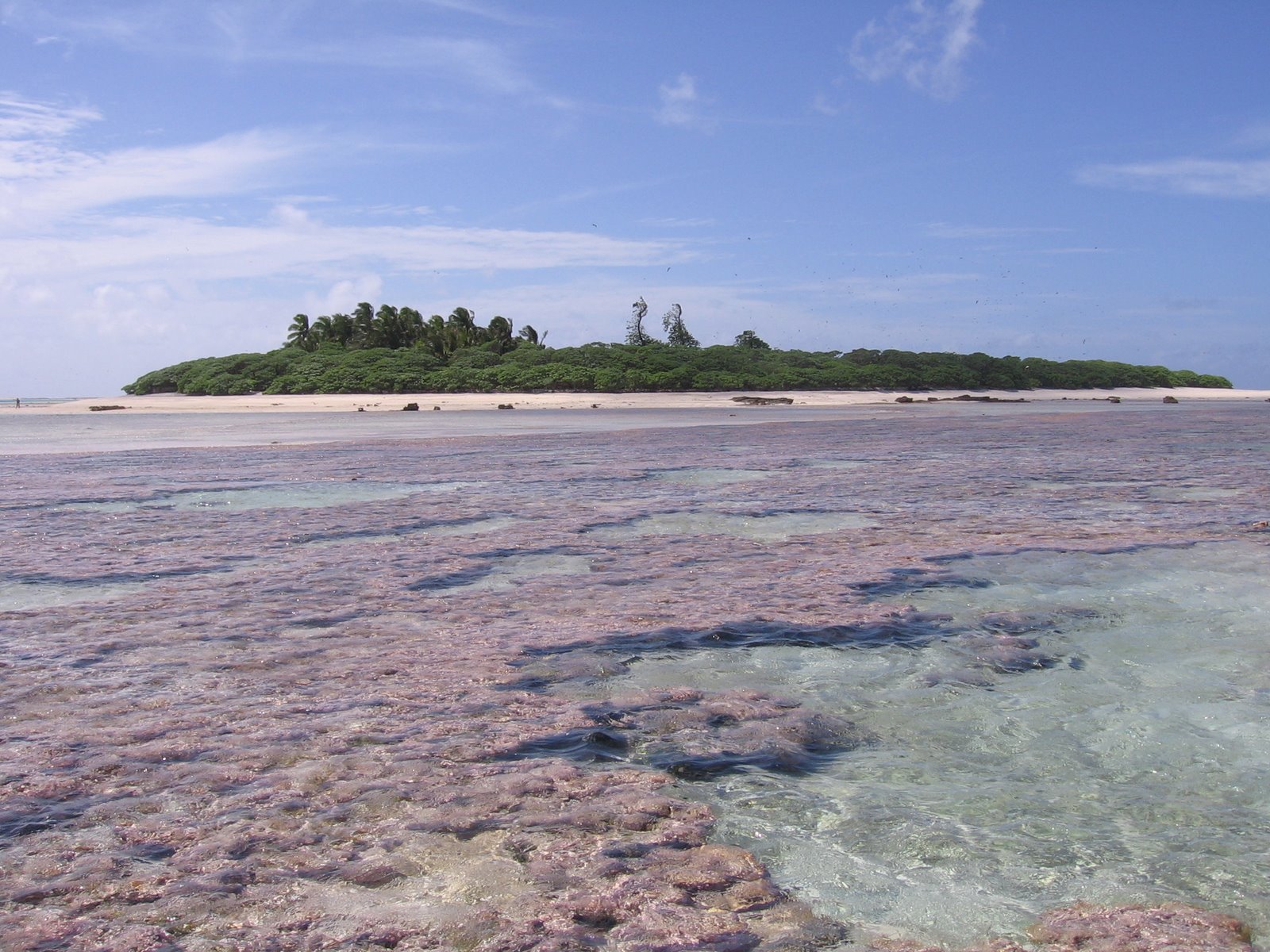 Going to Paradise: Expedition to Rose Atoll
