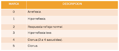 desviaciones del desarrollo del niño: TONO MUSCULAR