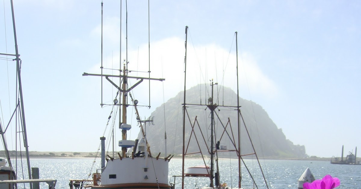 The Shell Shop in Morro Bay | sealaura