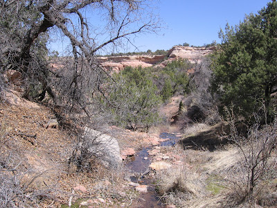 Four Corners Hikes-Canyonlands: Neck Springs Trail