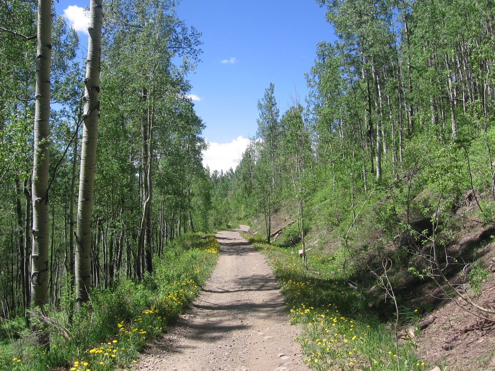 Four Corners Hikes-Dolores River Valley Colorado: Aspen Loop Trail