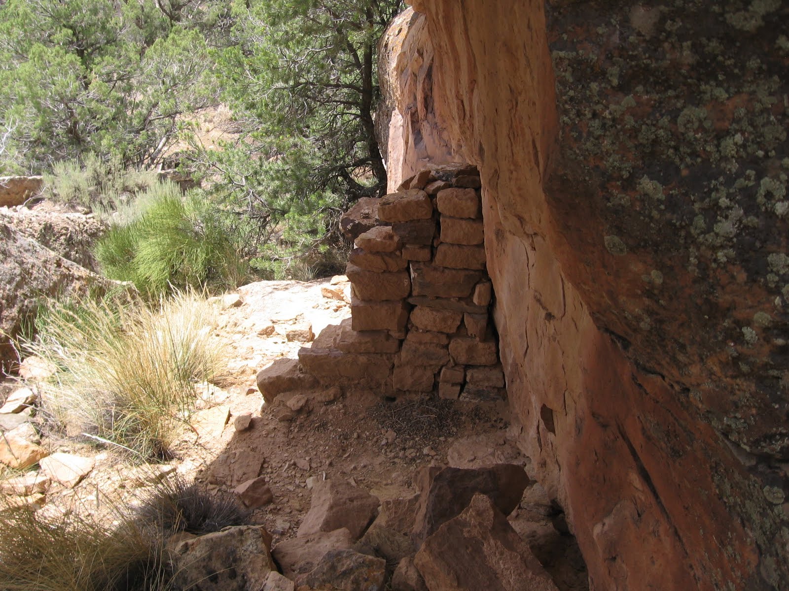 Four Corners Hikes-Canyons of the Ancients: Mockingbird Mesa East ...