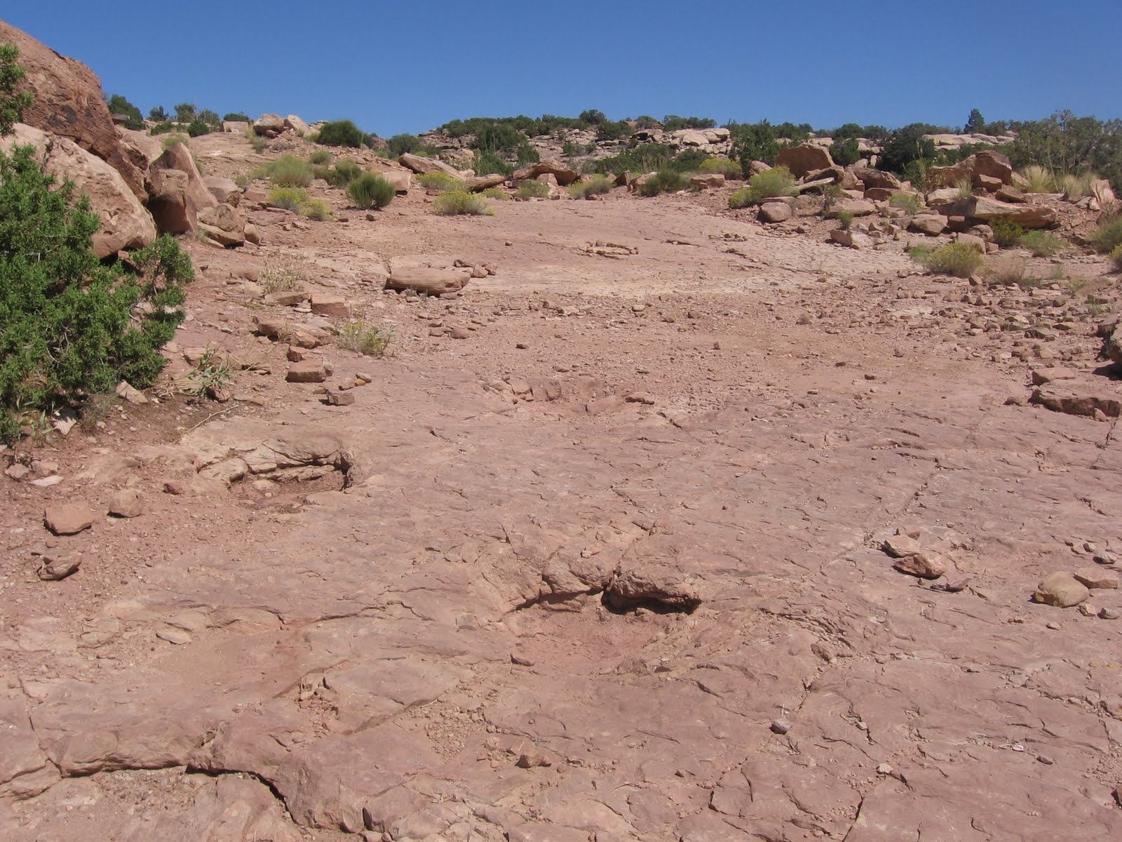 Four Corners Hikes-Arches National Park: Copper Ridge Dinosaur Tracks
