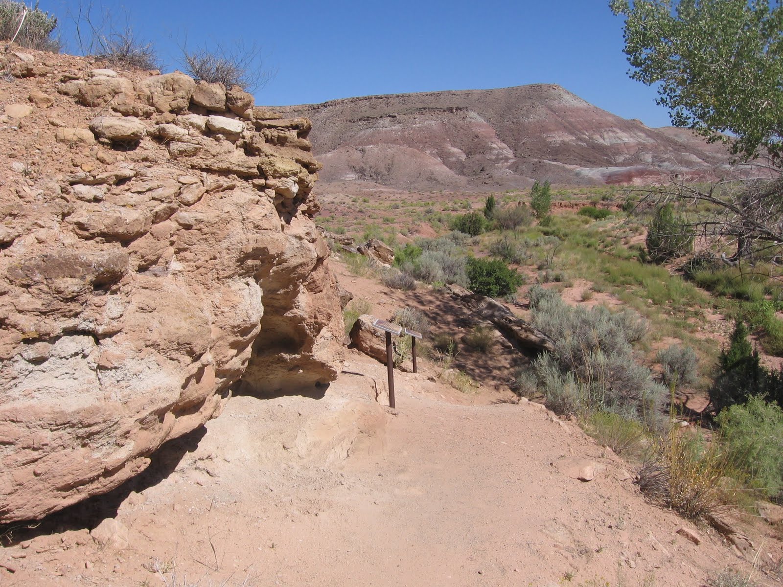 Four Corners Hikes-Arches National Park: Mill Canyon Dinosaur Trail
