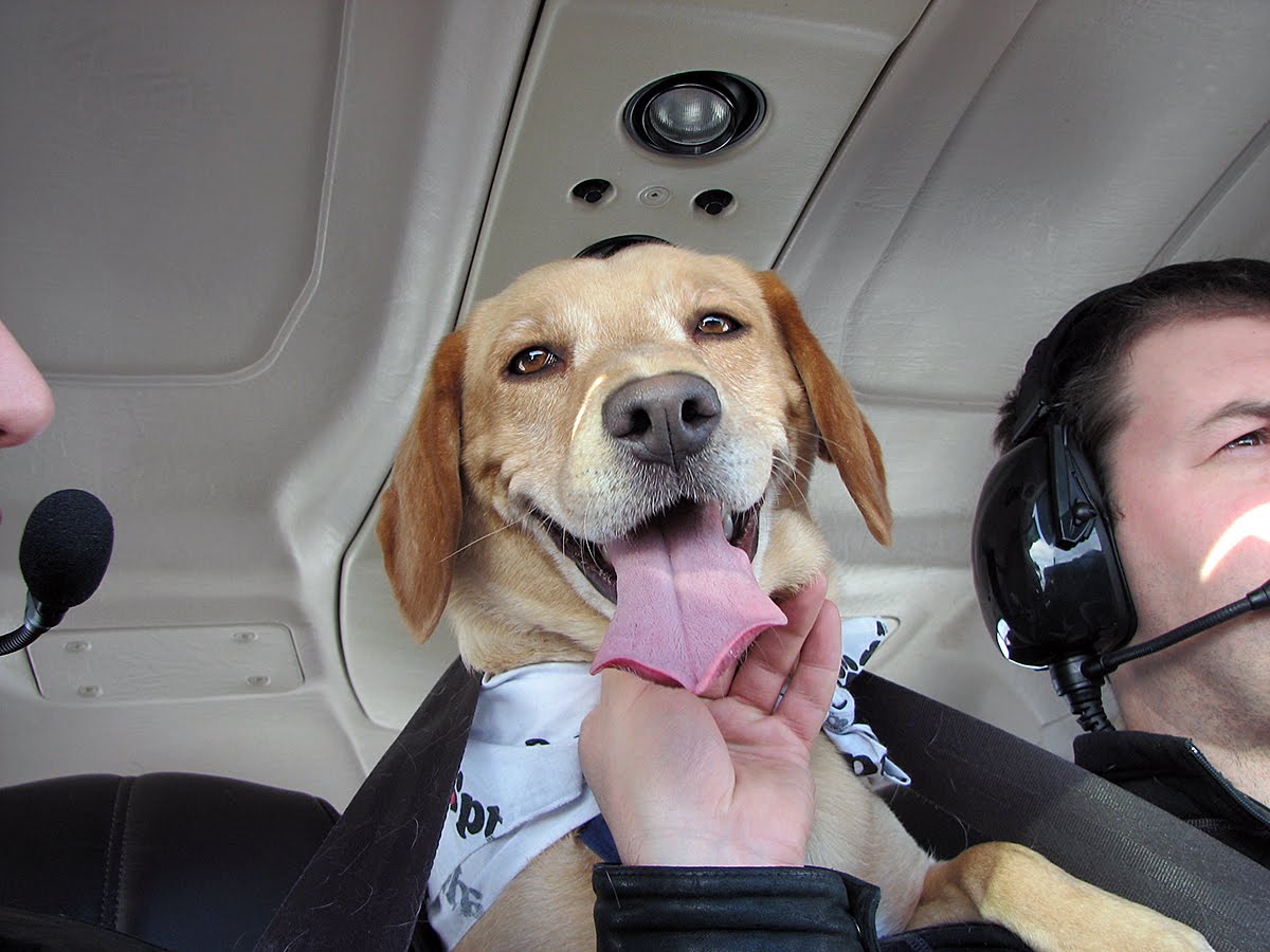 A mile of runway will take you anywhere.: Riding along on a Pilots N ...