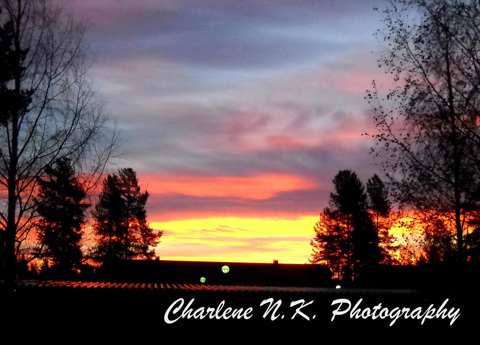 My Nature Photography: Morning, Noon and Evening