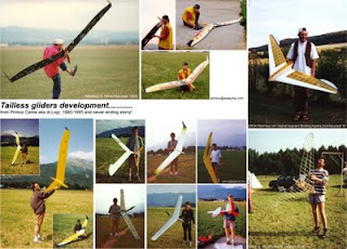 A good mix of Creativity: Tailless gliders history