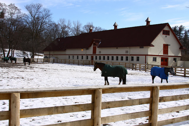 Peter's Photo Acoustic Alchemy: the gallopers.. waiting for the Spring ...
