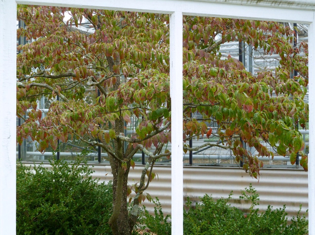 Outside Now: SUNY Farmingdale School of Horticulture