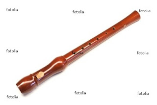 Welcome to Marcus Blog!: The difference between Blockflute and Recorder